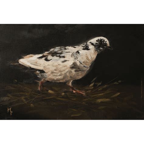 17 Stories Tarrence V Uk