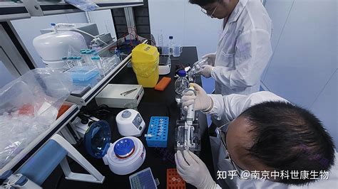 免疫荧光染色步骤 南京中科世康生物 知乎