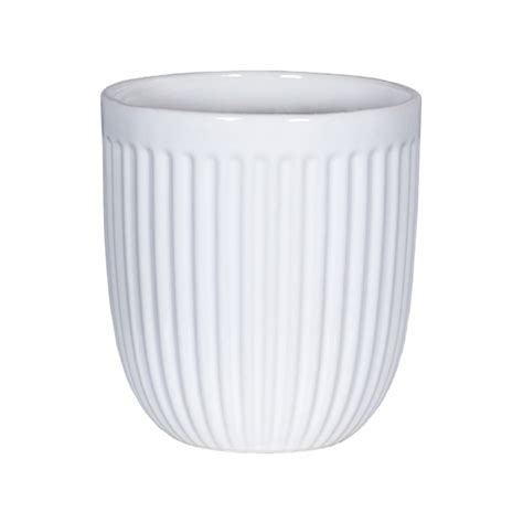 خرید و قیمت گیاه پاندانوس ابلق با بهترین کیفیت Vip