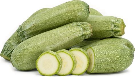 Mexican Squash Information Recipes And Facts
