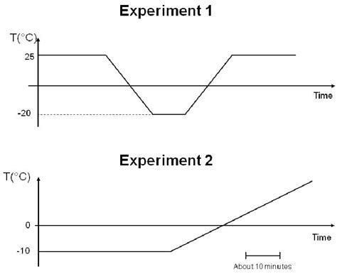 Representation Of The Two Experimental Protocols Download Scientific Diagram