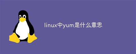Linux中yum是什么意思 Linux运维 Php中文网