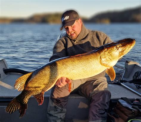 Tore Fikk Norges Nest Største Gjedde Fiskeavisen