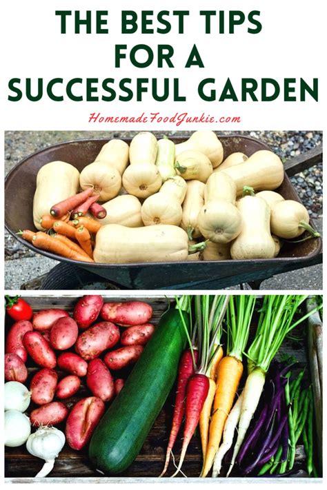 9 Tips For Gardening Success Homemade Food Junkie