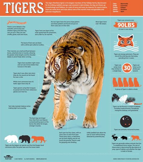 40 Infographic Ideas To Jumpstart Your Creativity Students Infographic