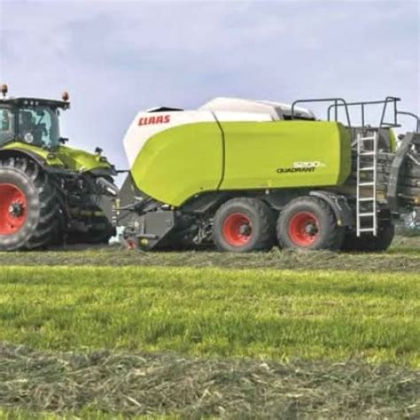 Rhodes Grass Sharp Ages