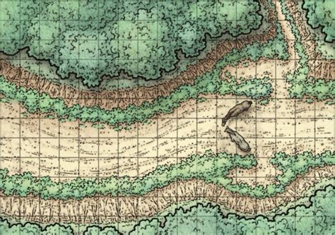 Phandelver Goblin Ambush Map