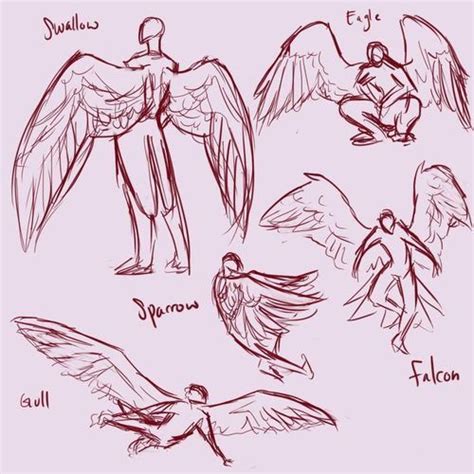 Drawing Reference Poses Art Reference Photos Anatomy Reference