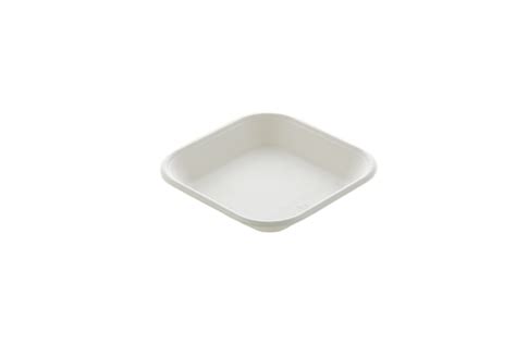 Bagasse Trays Ecodine Supply