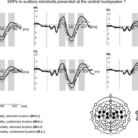 Grand Average Erps To Auditory Standard Stimuli Under Four Different