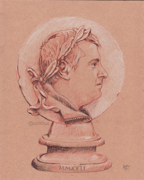 Perfil Romano Con Laurel Aidibus