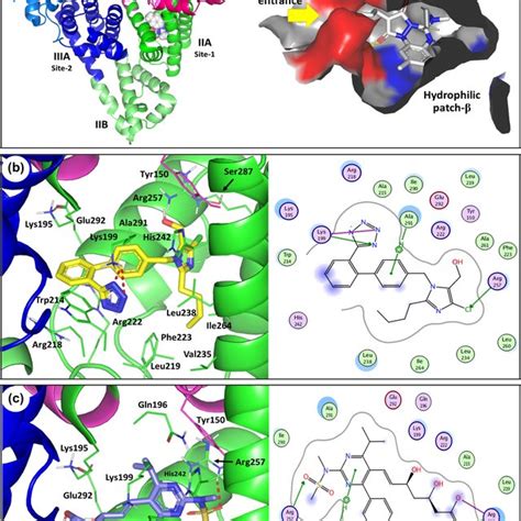 A Chemical Structure Of Drospirenone B Chemical Structure Of