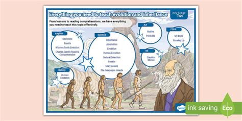 Evolution And Inheritance Planning Map Teacher Made