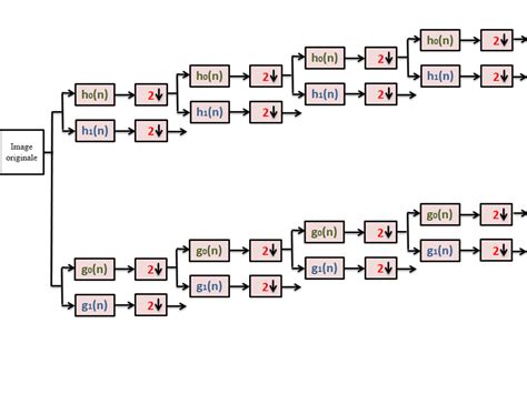 Tree Represents The Operation Of Dt Cwt Download Scientific Diagram