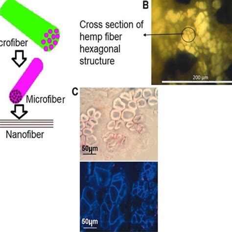 Structure Of Hemp Fibre Showing A Microfibres To Nanofibrils B