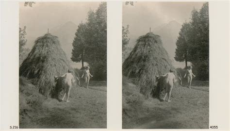 Fkk Museum Stereo Bilder Aus Den 1930er Jahren Und Noch Einige Bilder