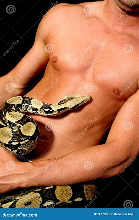 Snake And Man Stock Image Image Of Male Handsome Youthful 977995