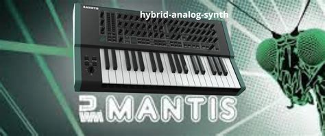 Pwm Mantis Dlx Audio