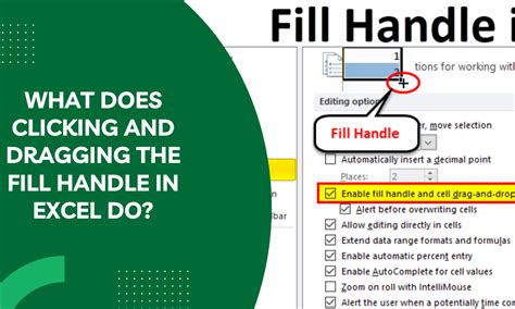 Drag Fill In Excel At Louise Rizo Blog
