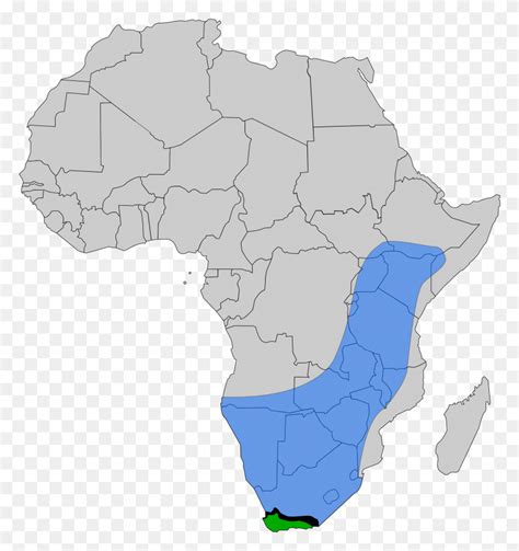 Cape And African Honey Bee Range Africanized Honey Bee Africa Map