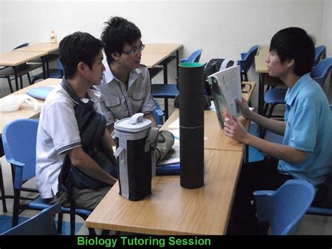 ST A R S Peer To Peer Tutoring Session