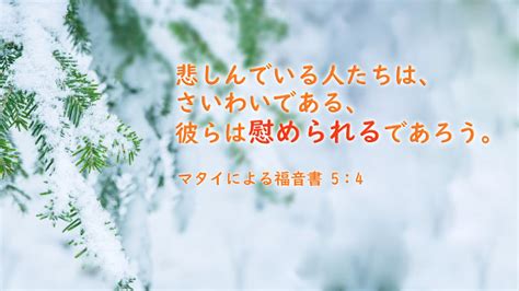 聖書の名言 5つの最も良い慰めの聖句・悲しみを克服して励ましを受ける 聖書の部屋