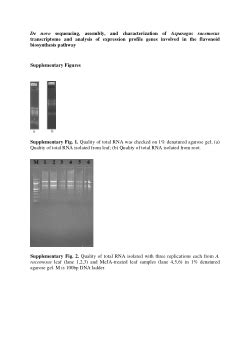 Image1 De Novo Sequencing Assembly And Characterization Of Asparagus