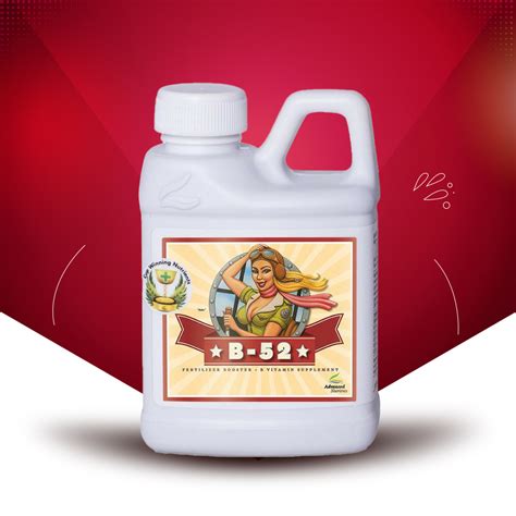 B 52 ミナミ園芸社