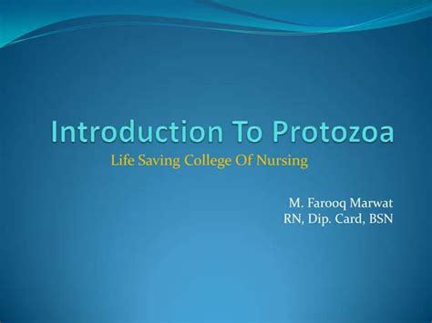 Protozoa Structure Ppt