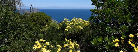 Santa Barbara Botanic Garden Fossil Evidence Tells Us That Coast
