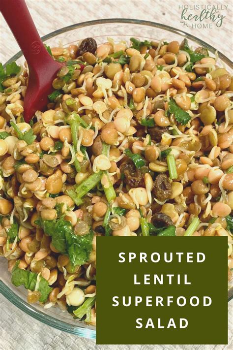 Sprouted Lentil Recipe Artofit