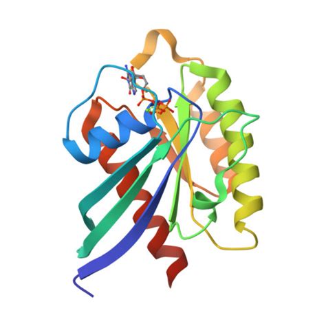 Pdb 1xts Chain Structure Of Small Gtpase Human Rheb In Complex With Gtp 1xts A 3d