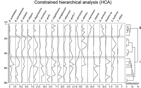 Hierarchical Cluster Analysis Hca Based On The Relative Abundance Of
