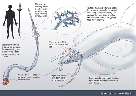 Birrin Alexriesart On Tumblr