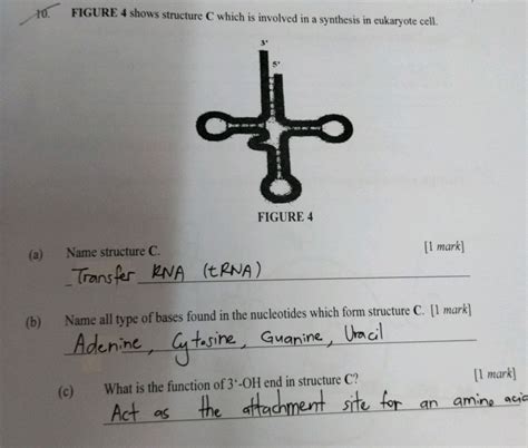 10 Figure 4 Shows Structure C Which Is Studyx