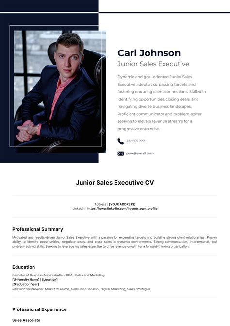 Free Executive Cv Templates To Edit Online And Download