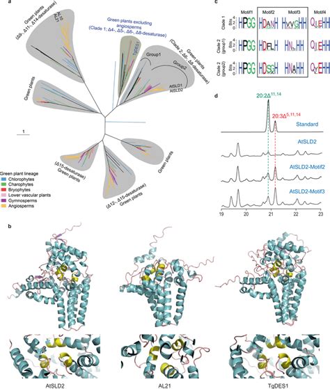 Origin And Evolution Of Plant Δ⁵ Desaturases A Maximum Likelihood