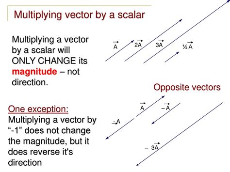 Vectors And Scalars Ppt Download