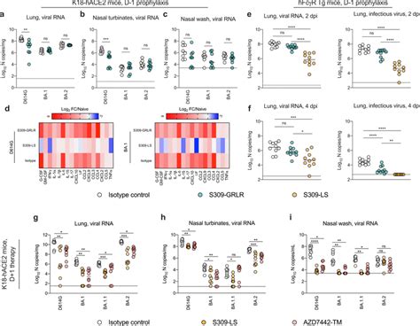 Fc Effector Functions And Mab Mediated Protection Ad Eight Week Old Download Scientific