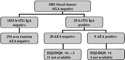 Summary Of The Results Of The New Screening Algorithms Download