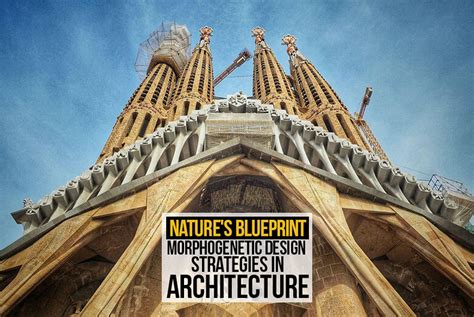 Natures Blueprint Morphogenetic Design Strategies In Architecture