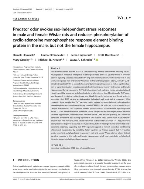 Pdf Predator Odor Evokes Sex Independent Stress Responses In Male And Female Wistar Rats And