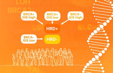 Implementing Cgp Hrd Testing In House In A Large Us Healthcare System