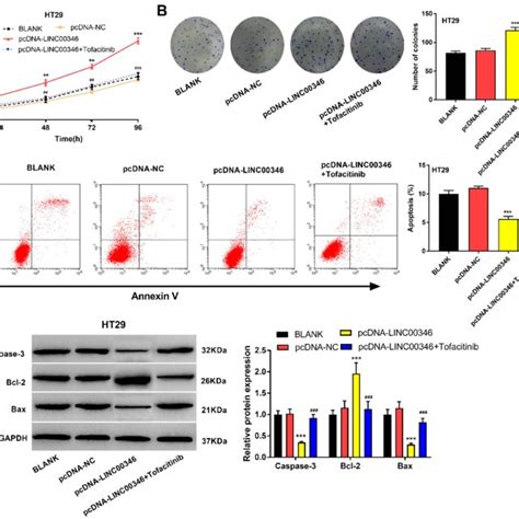 Chemical Structure Of Shikonin Derivatives 1 Deoxyshikonin 2 Download Scientific Diagram
