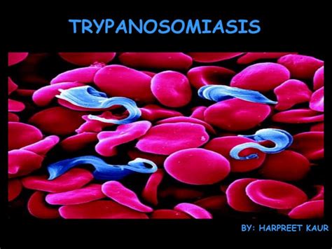 Trypanosoma Pptx