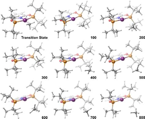 Time Frame Fs Snapshots For One Representative Dynamical Direct Download Scientific Diagram