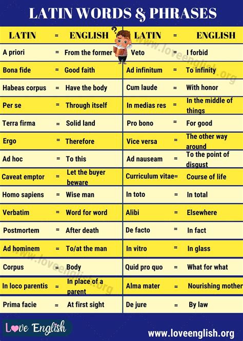 Everyday Latin Phrases Artofit All For One
