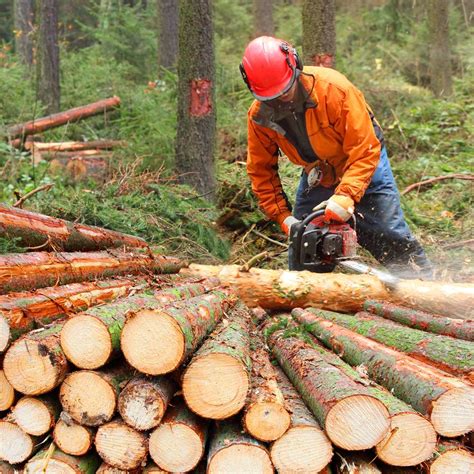 Forestry Foundations Online Course Adl
