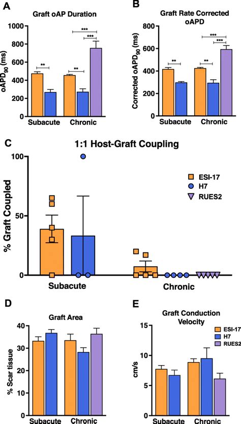 Electrophysiological Properties Of Hesc Cm Graft Tissue From Three Download Scientific Diagram