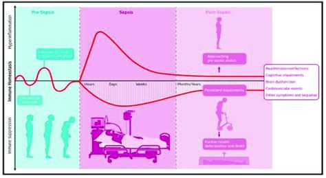 Dynamique De La Réponse Immunitaire Et Implications Cliniques Daprès Download Scientific